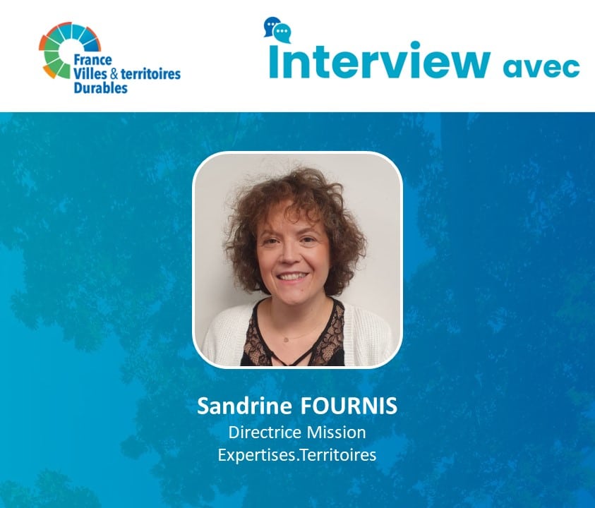 Interview avec Sandrine Fournis, Directrice Mission Expertises ...